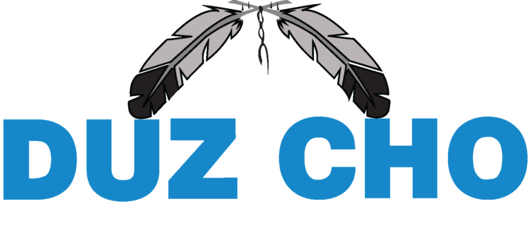 Safety Director - Duz Cho Construction LP